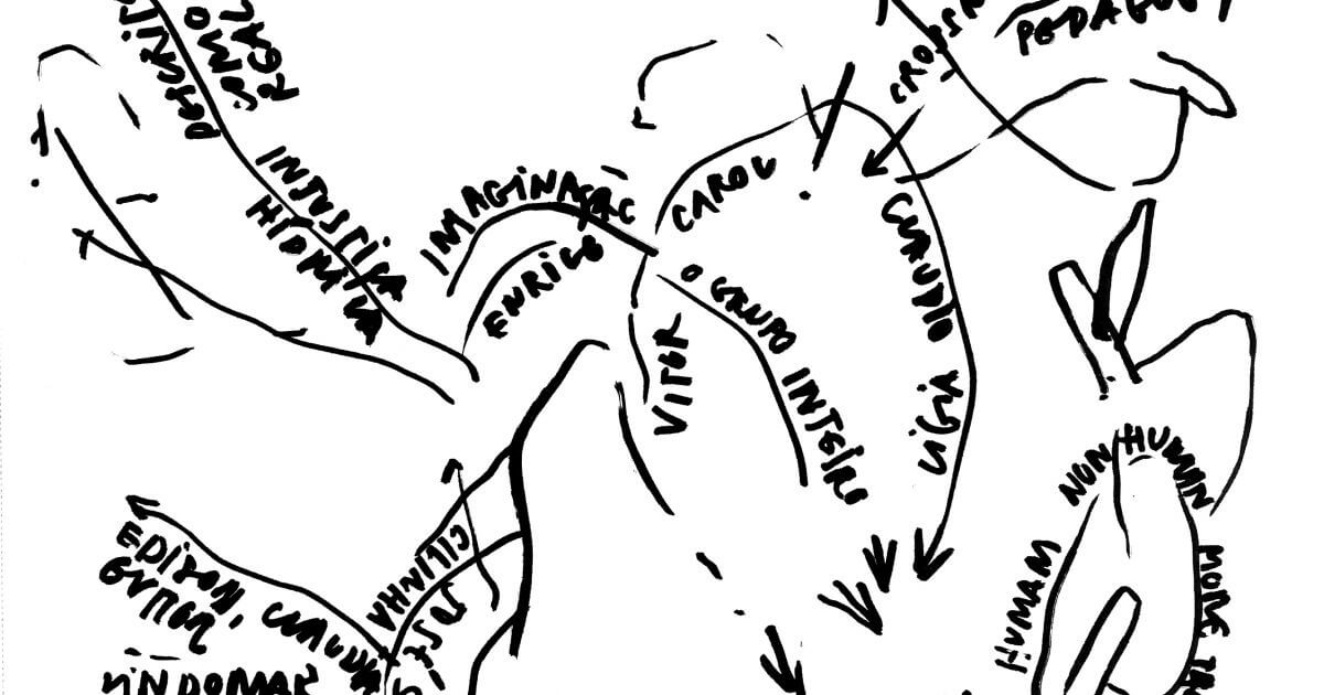 Caatinga Institutions: An Interview with O grupo inteiro