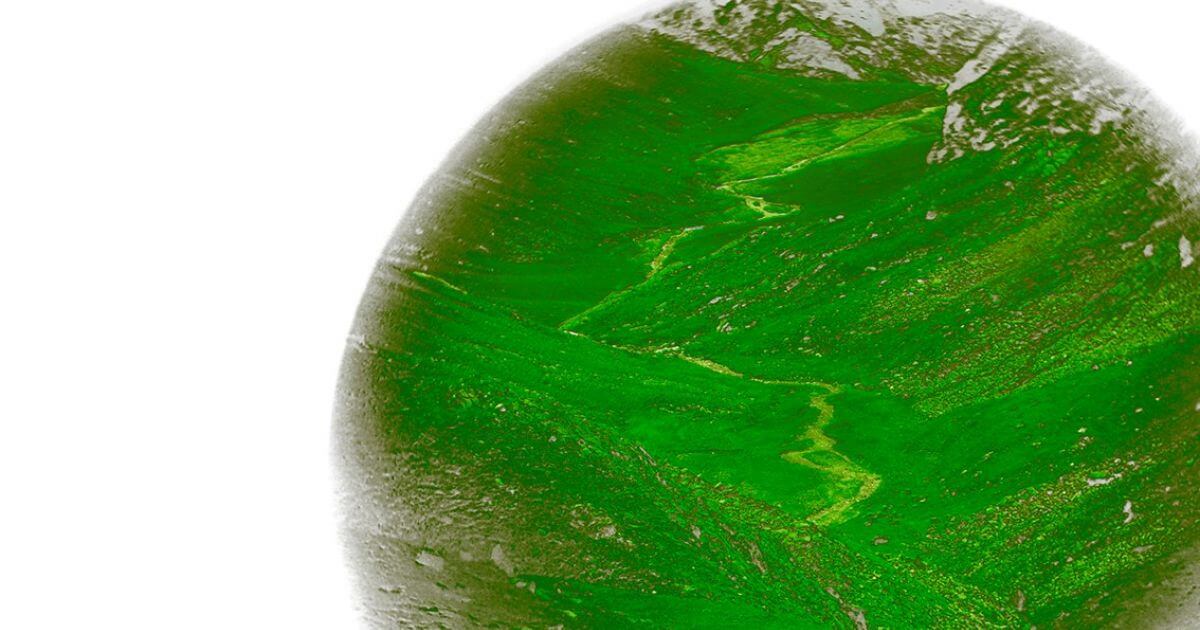 How to Measure the Ecological Development of a Zoöp?