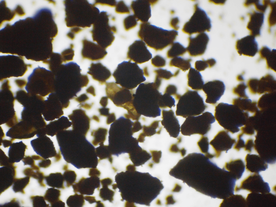 Een Ecosysteem bouwen op Mars