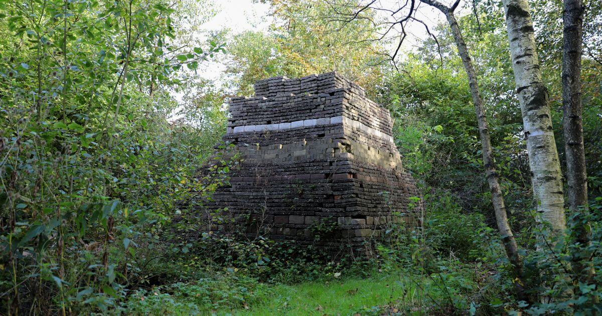 De Ecokathedraal: Louis Le Roy, ideoloog van de wilde tuin