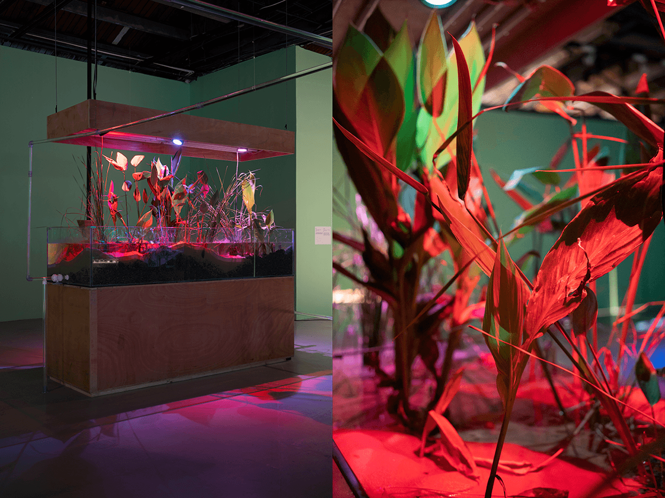 Witnessing with Earth Observation Technologies