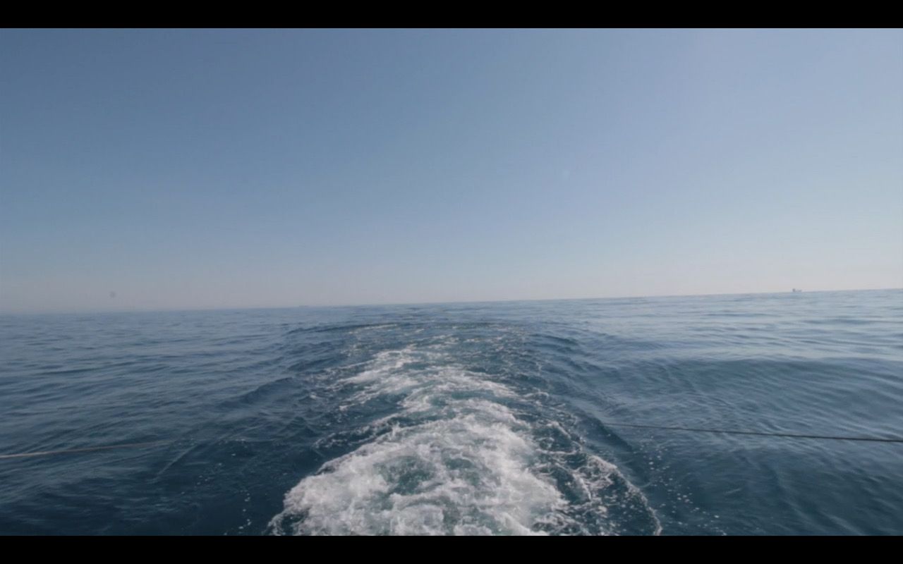 Biennale Exhibitors & Projects